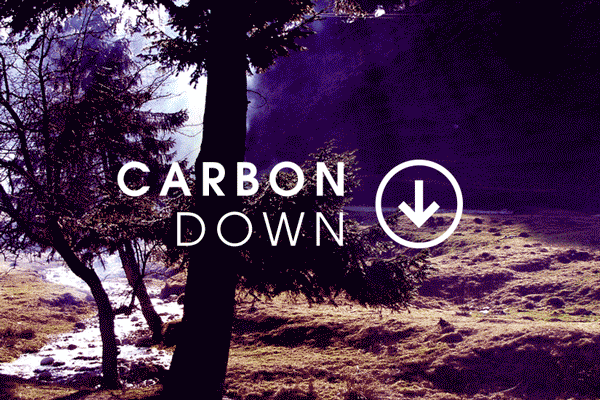 Carbon Down Website - Adam Pollack – Graphic designer