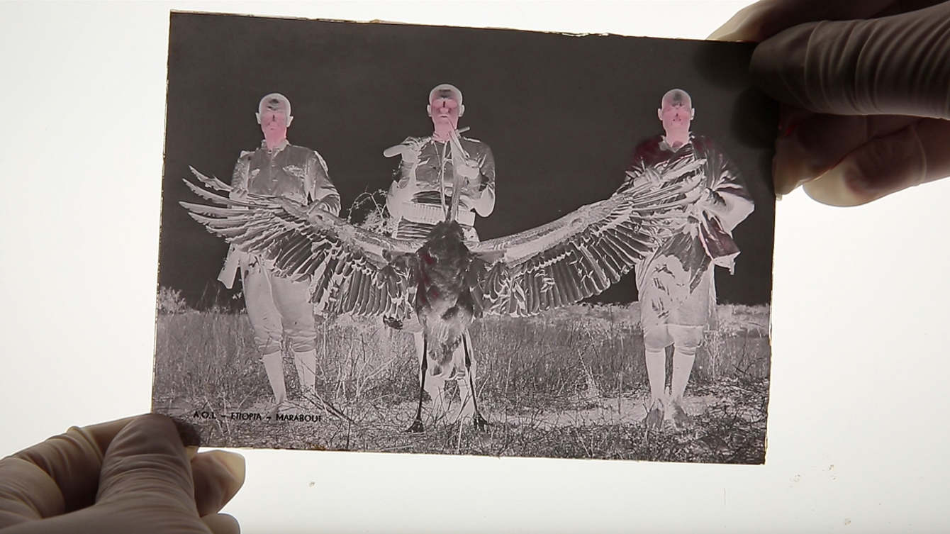 Alessandra Ferrini - Creekside Artists