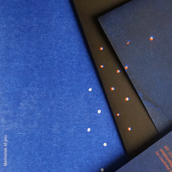 Vinyl & Riso - lilli lacombe