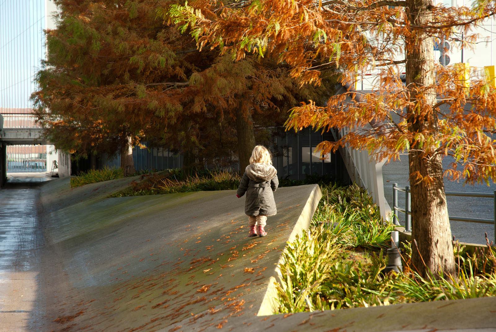 Swamp Garden Almere - Inside Outside