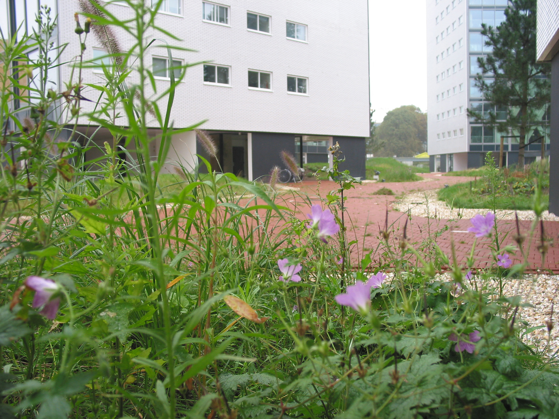 Chassé Terrain Breda - Inside Outside