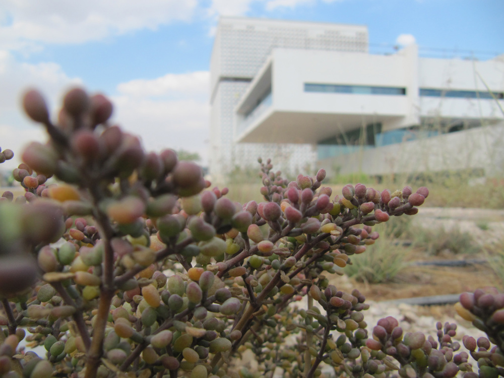 Qatar Foundation Headquarters Doha - Inside Outside