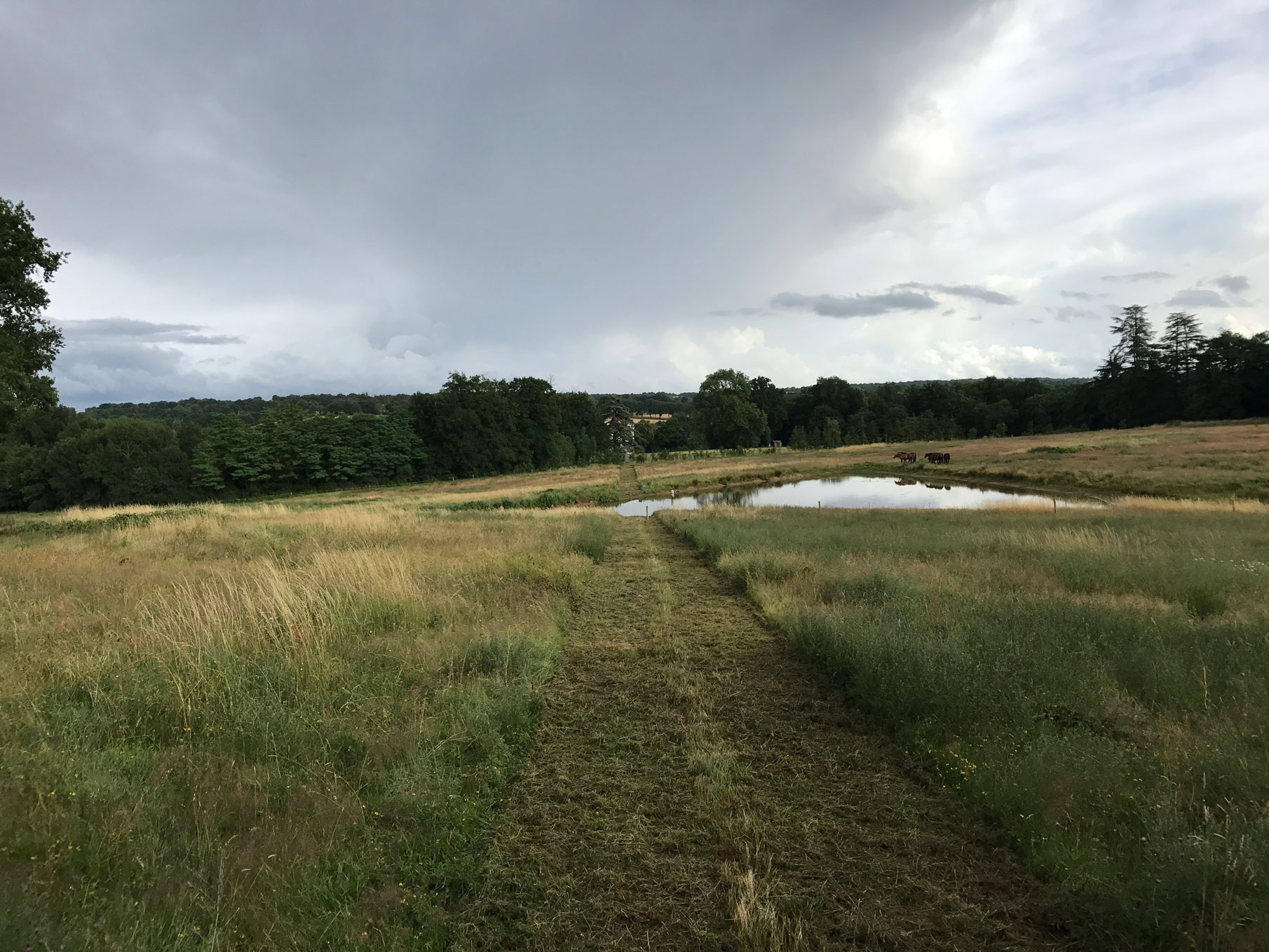 Workshop, Domaine de Boisbuchet France - Inside Outside