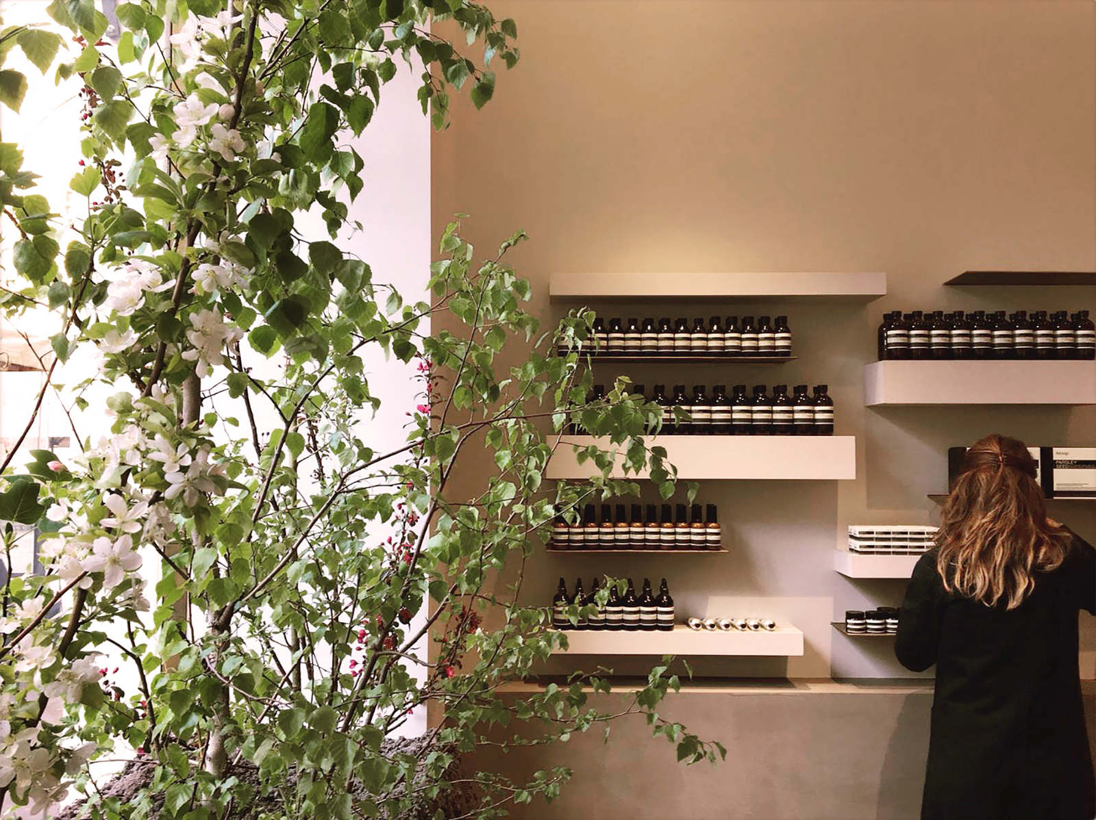 T(h)ree terrariums at Aēsop - Inside Outside