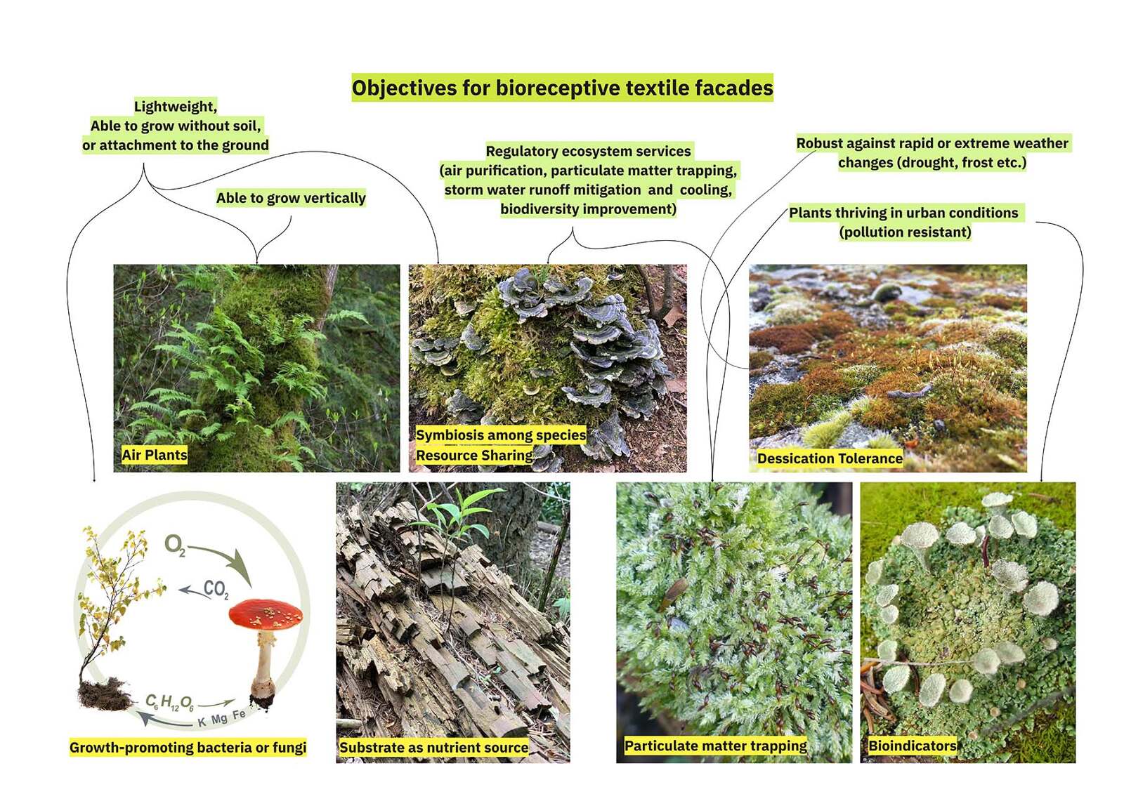 Bioreceptive Textiles - Inside Outside