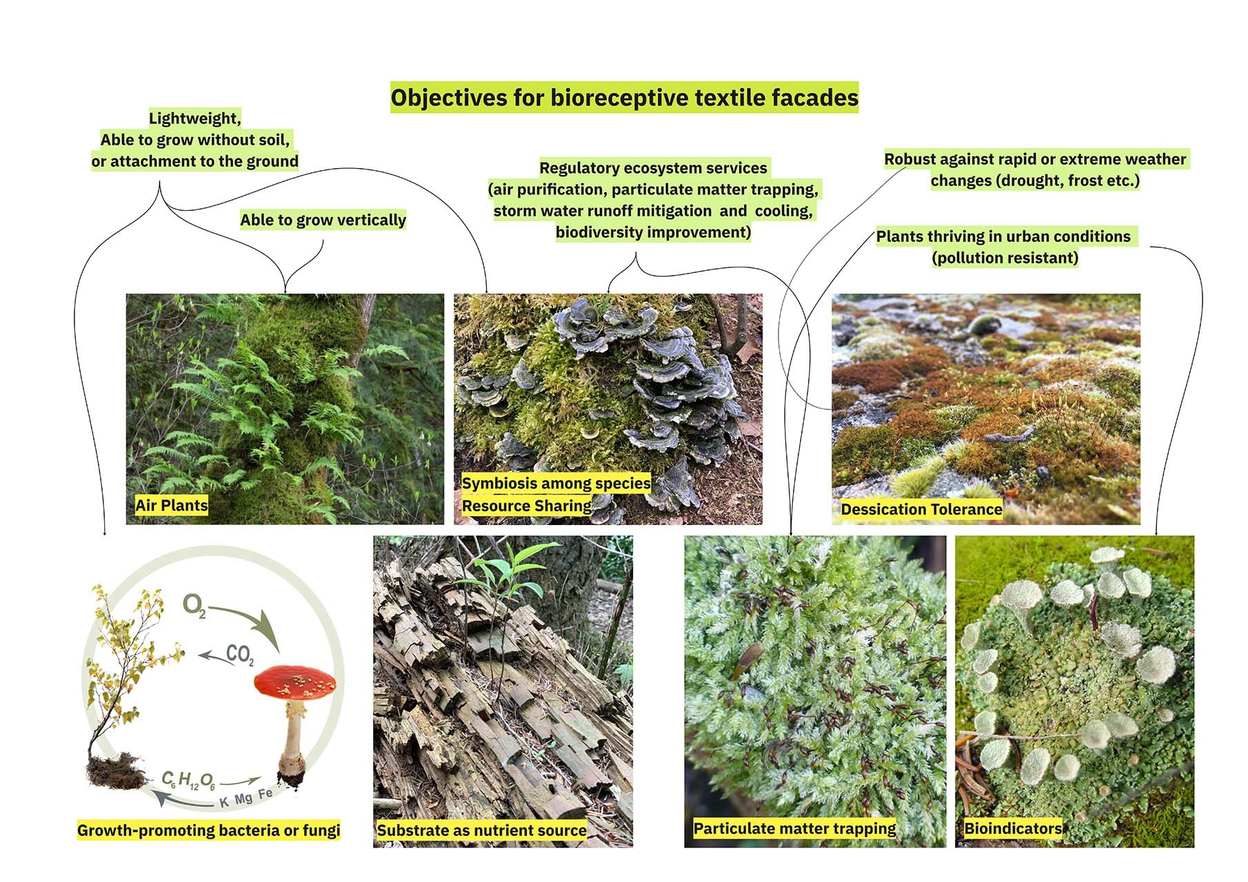 Bioreceptive Textiles - Inside Outside