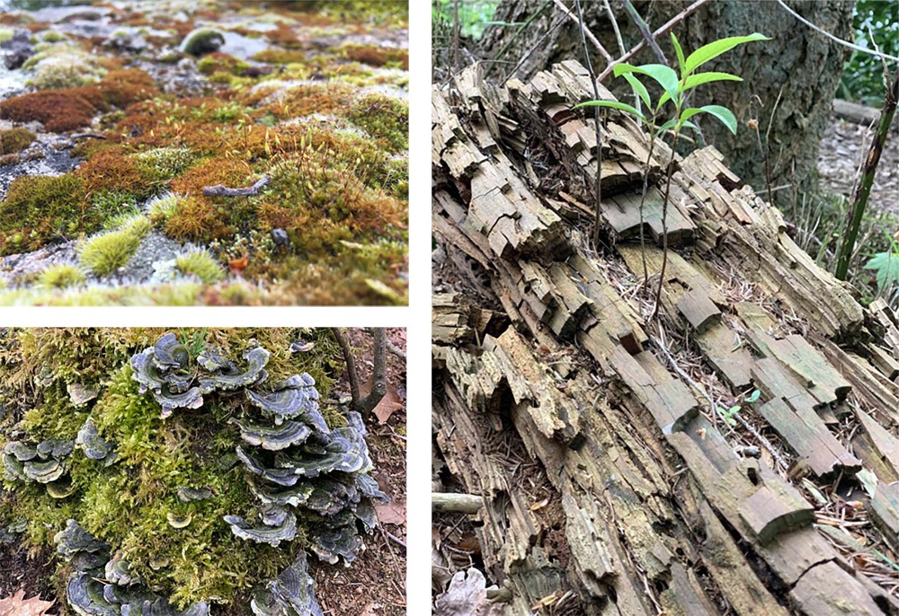 Bioreceptive Textiles - Inside Outside