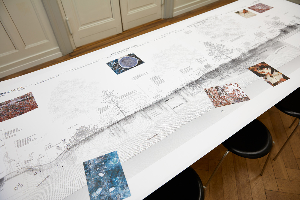 Living Soil - Inside Outside