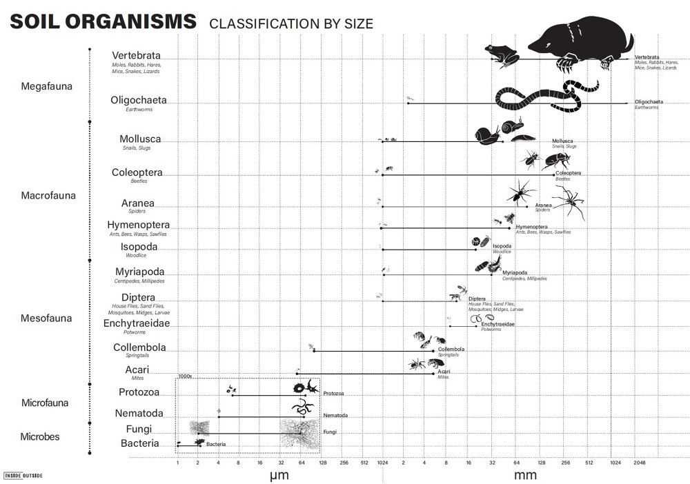 Living Soil - Inside Outside