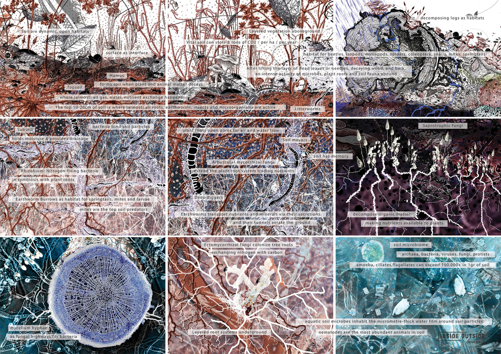 Living Soil - Inside Outside