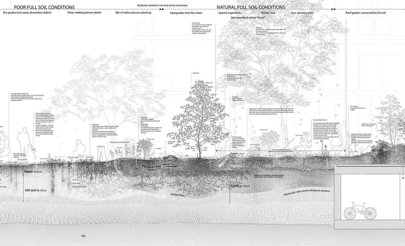 Living Soil - Inside Outside