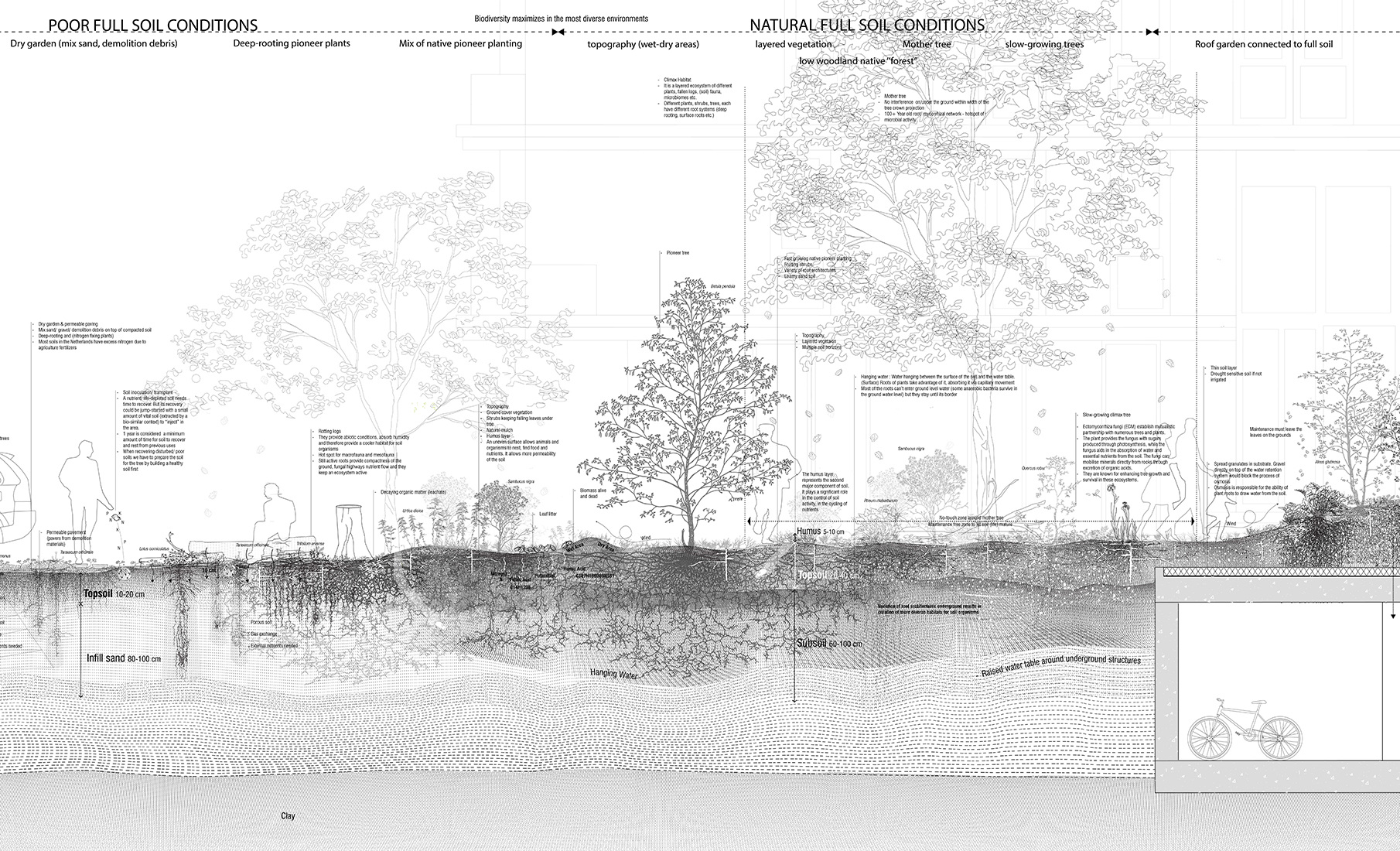 Living Soil - Inside Outside
