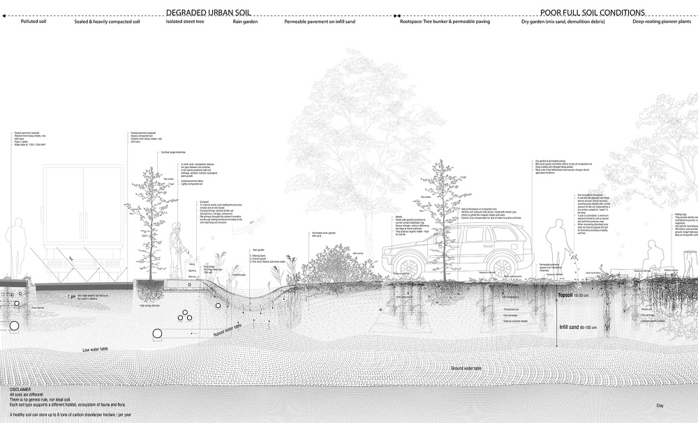 Living Soil - Inside Outside