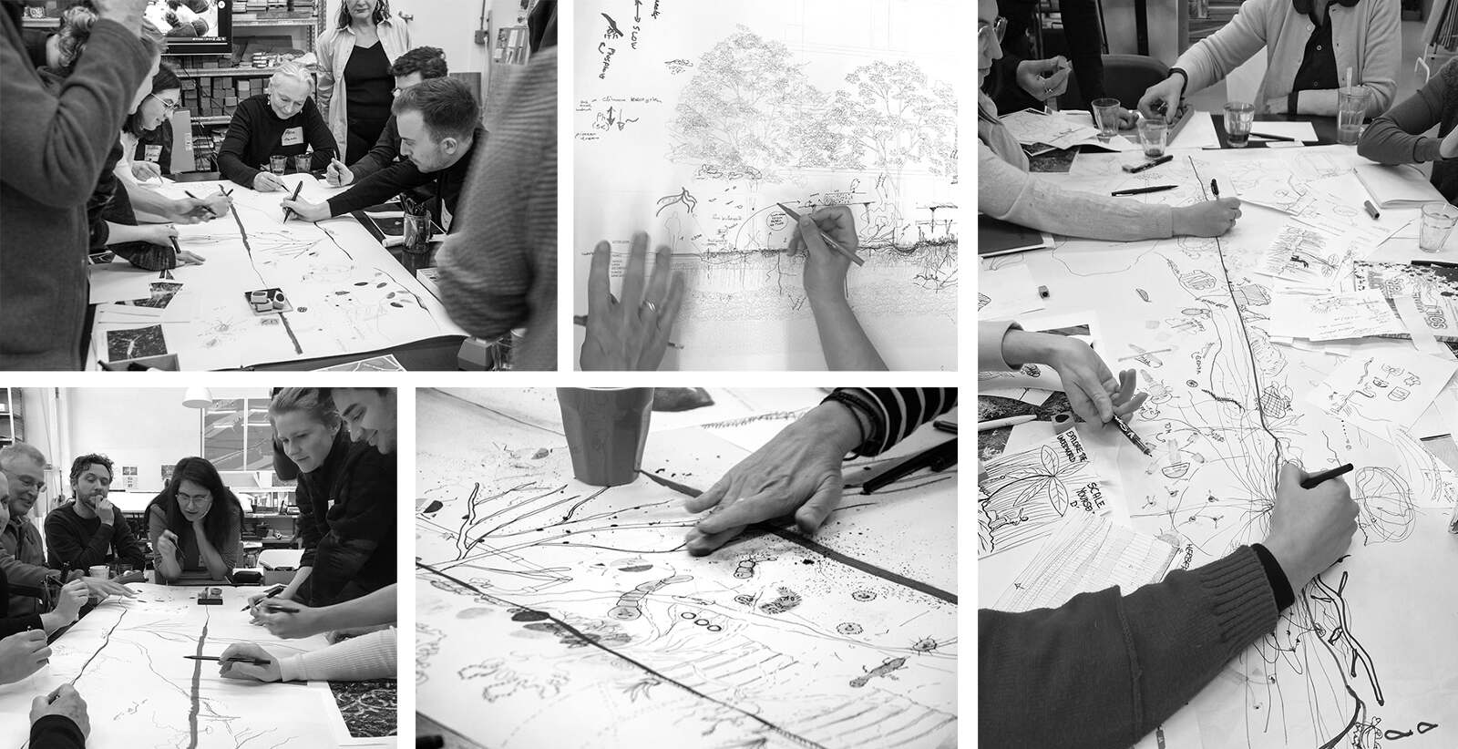 Living Soil - Inside Outside