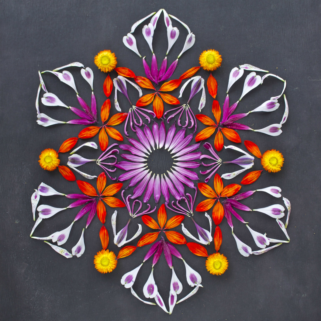 danmala - Kathy Klein