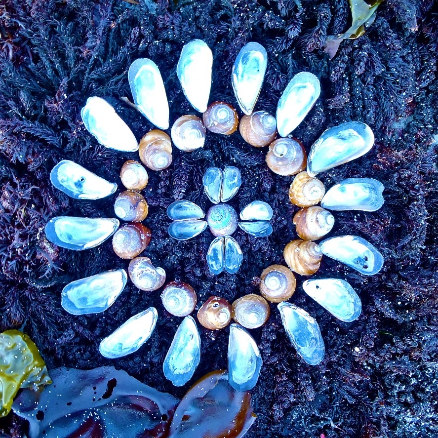 danmala - Kathy Klein