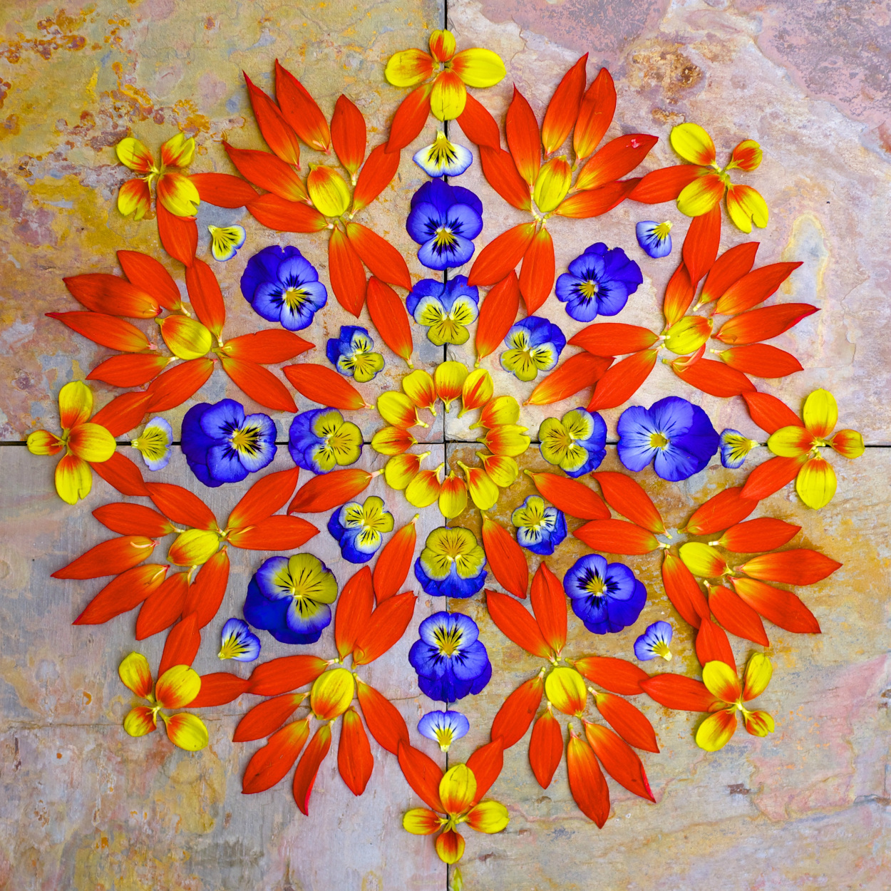 danmala - Kathy Klein