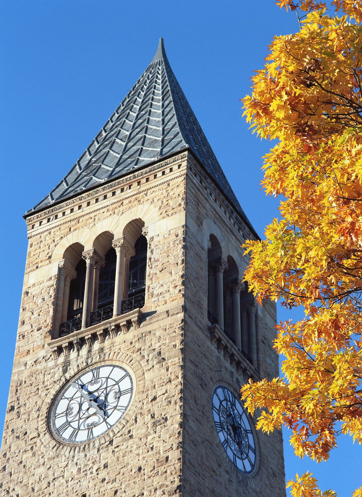 Cornell Clock Tower - C. E. Burns Photo