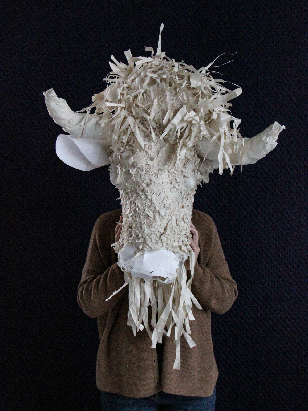Bison Masks - MilanChambard