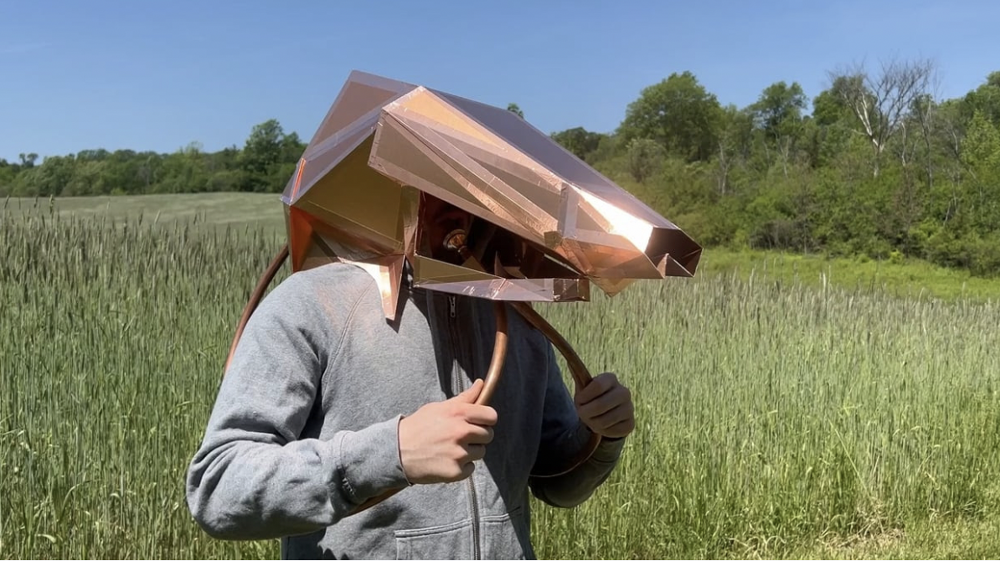 Carnyx Mask Instrument - MilanChambard