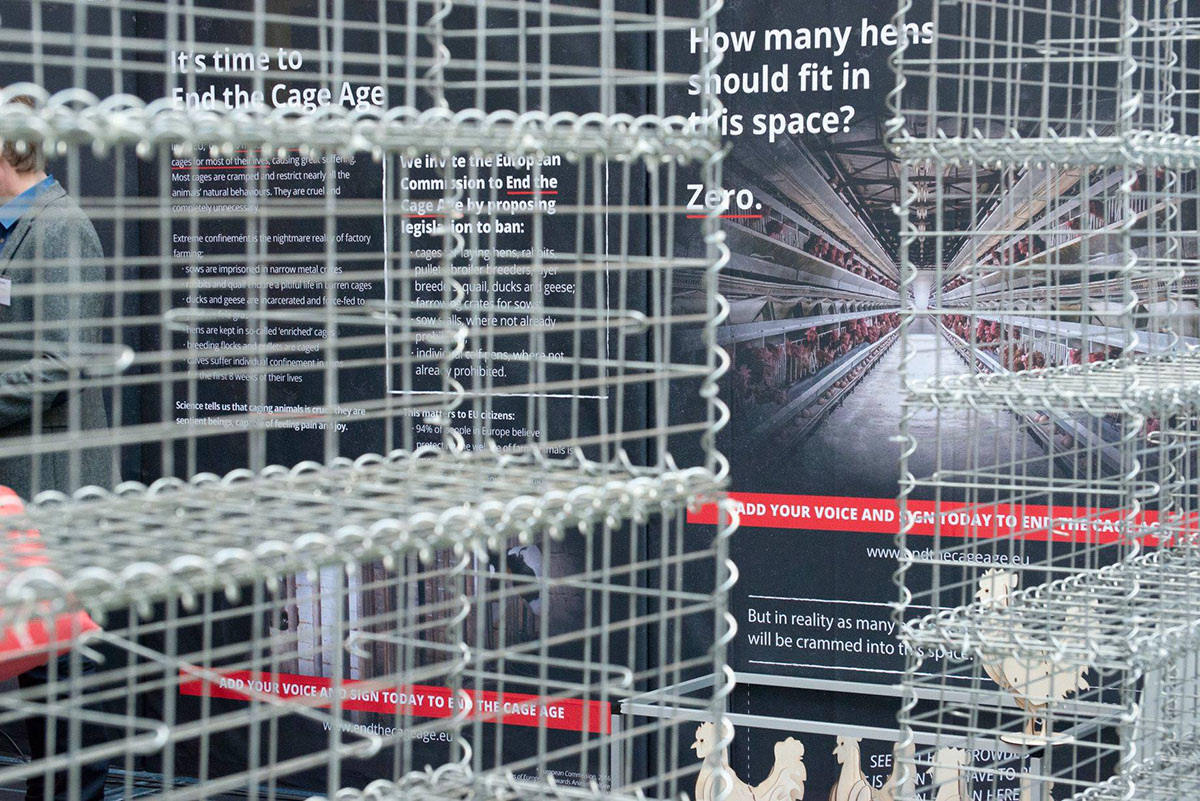 End the Cage Age - giuliazucca