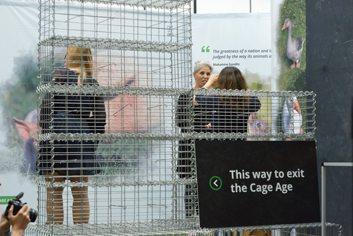 End the Cage Age - giuliazucca