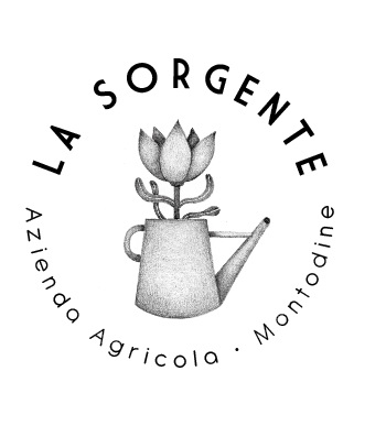 LA SORGENTE // Logo Design - Irene Fioretti