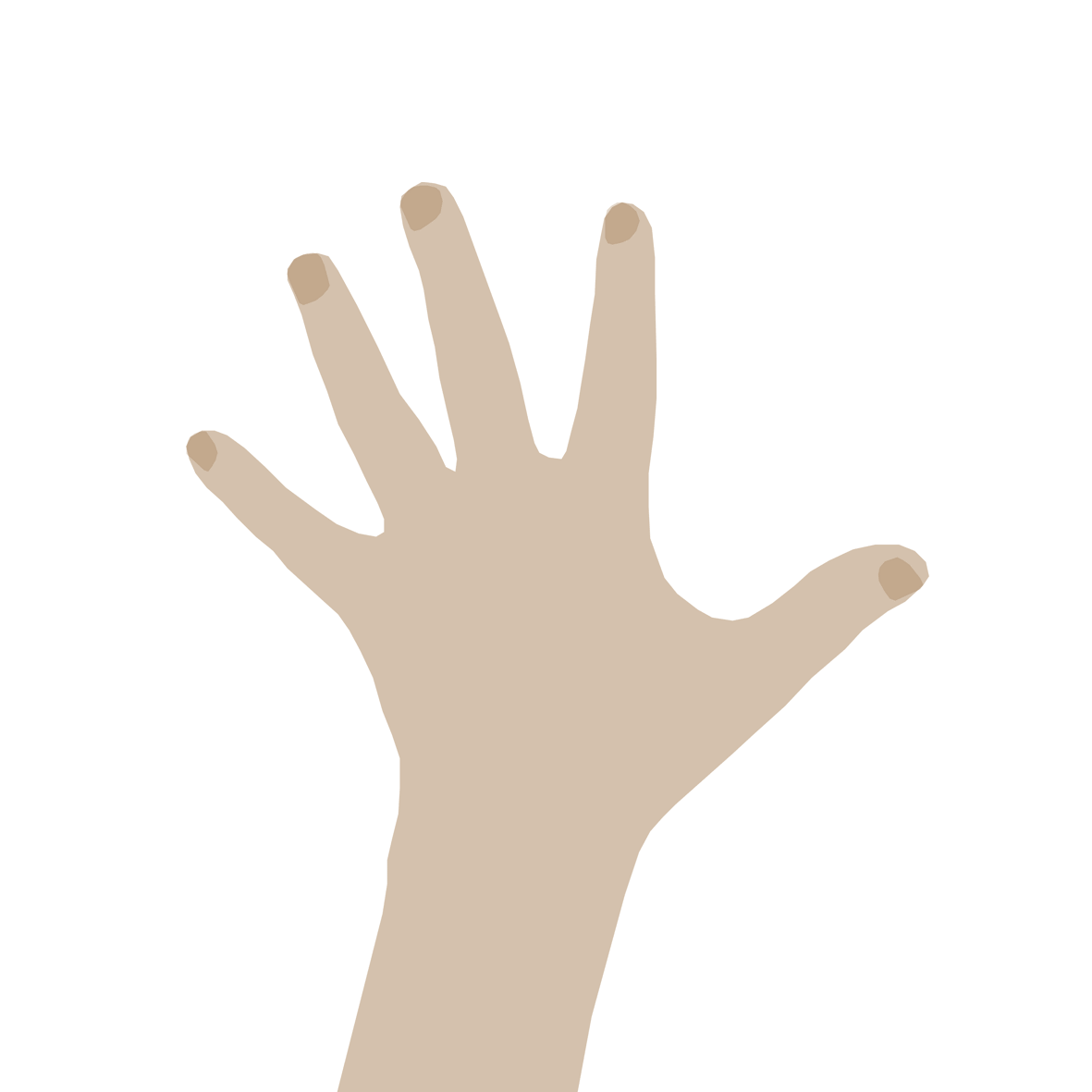 TRANSÍTAR - cata_atac