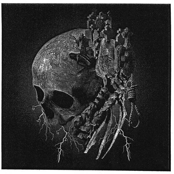 skull collage - Sub Sole Vanitas