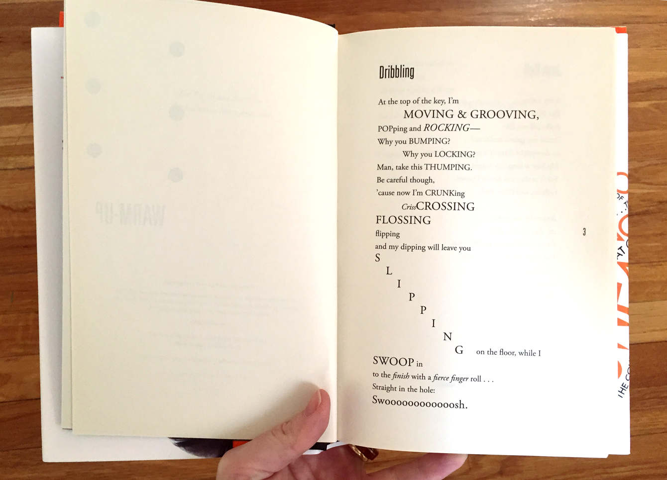 The Crossover interior - SUSANNA CHAPMAN