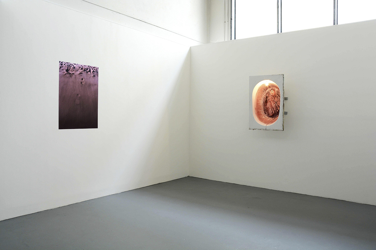 La maturité vient en pleurant - Jean-Daniel Pellen