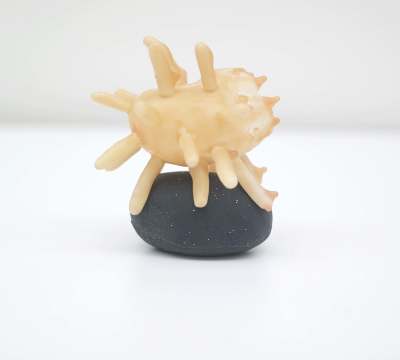 Mediating Objects - Martha Brauer