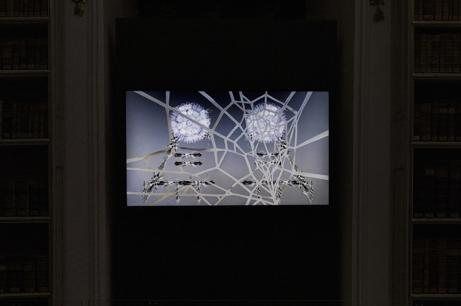 Tentakulum 2 – Water Light Festival Brixen - Katharina Berndt