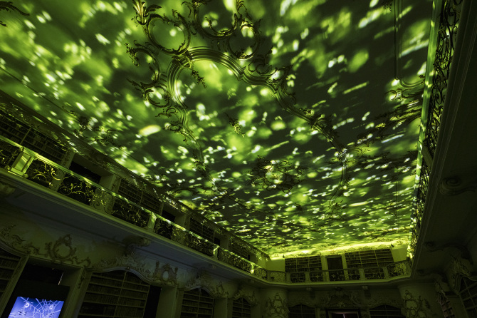 Tentakulum 2 – Water Light Festival Brixen - Katharina Berndt