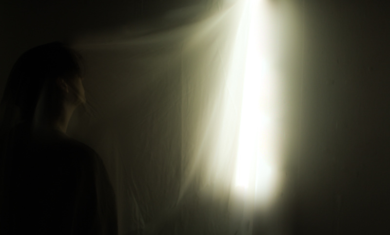 Electric Light on Human Behaviour - Holly Morton