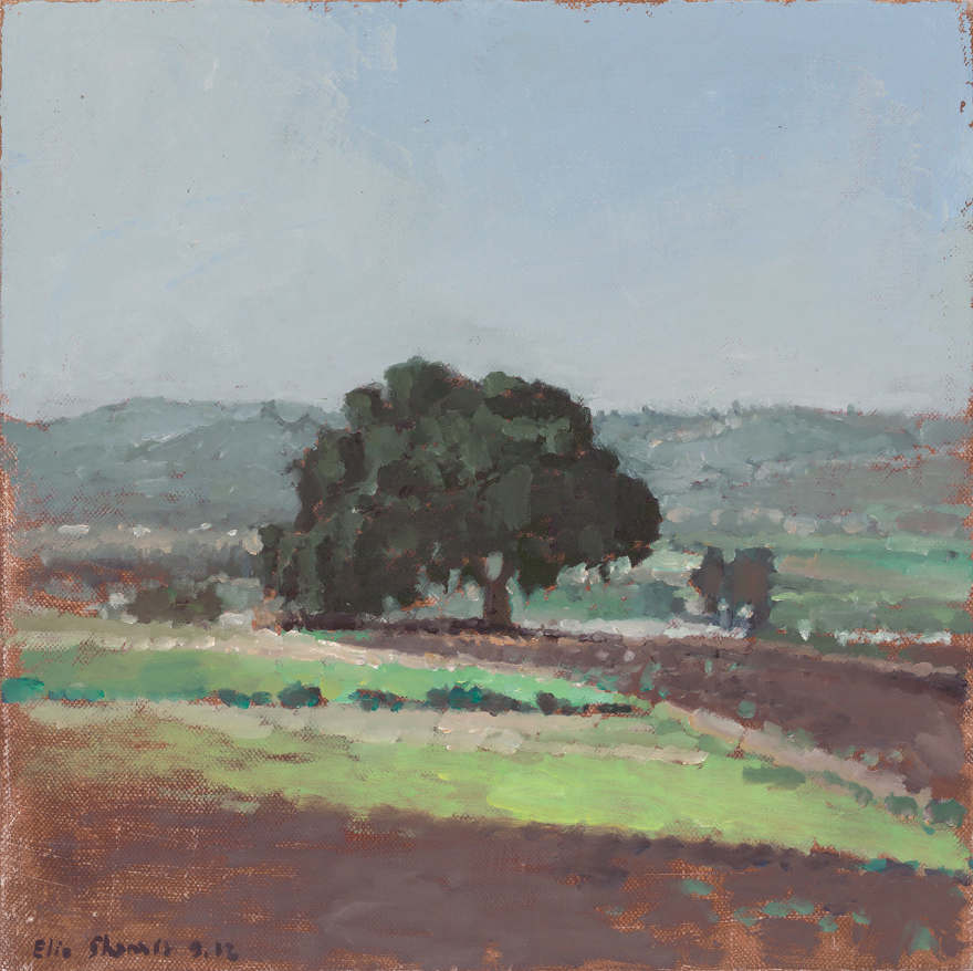 Pygmalion and Galatea - Elie Shamir