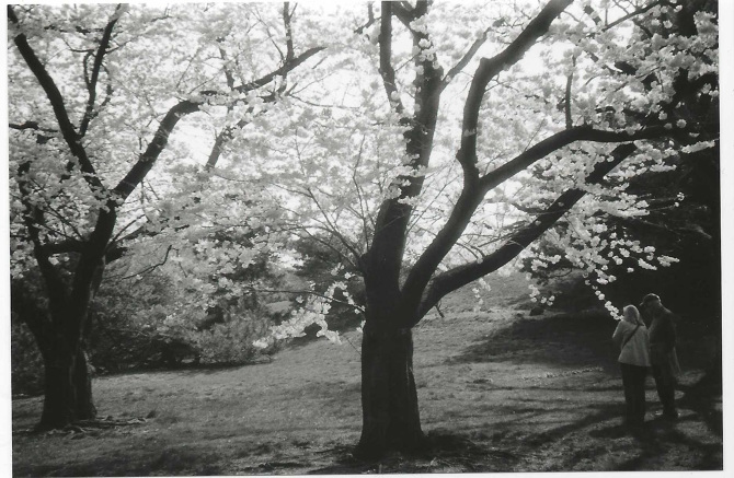 Film Photography - Emily Higgins