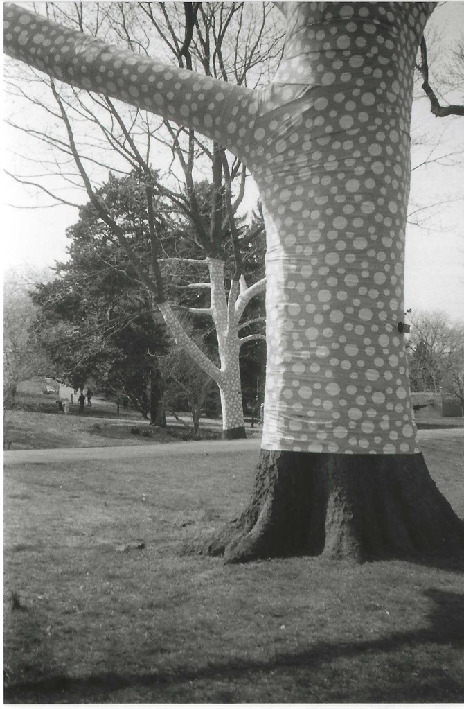 Film Photography - Emily Higgins