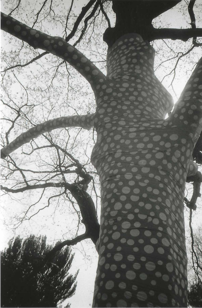 Film Photography - Emily Higgins