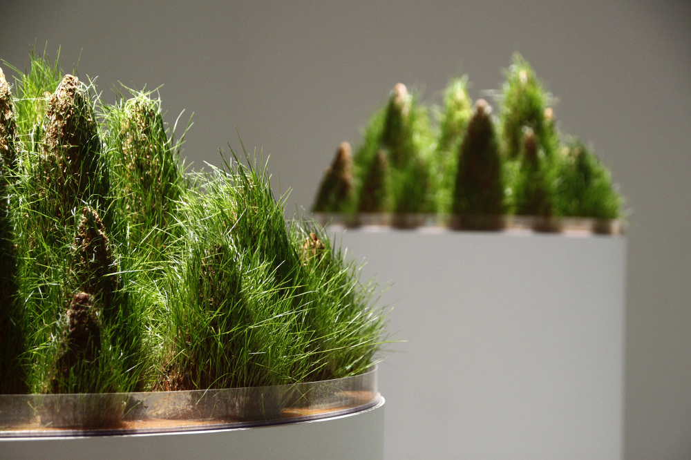 Faith Forest 설치전경 2023 - WonJungKim