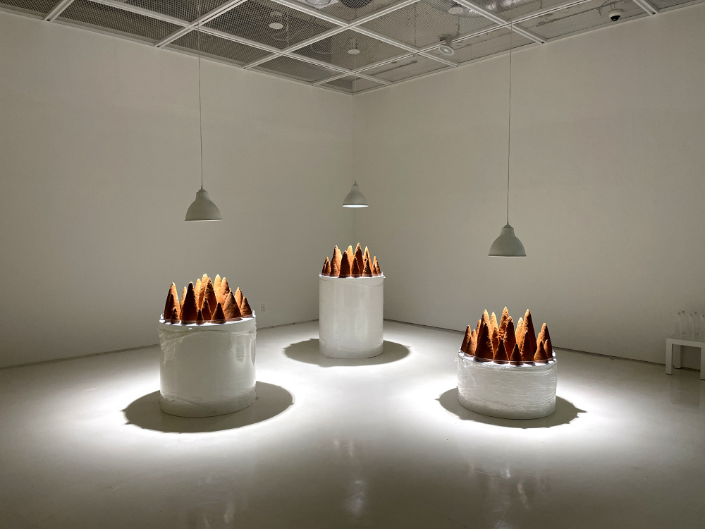 Faith Forest 설치전경 2023 - WonJungKim