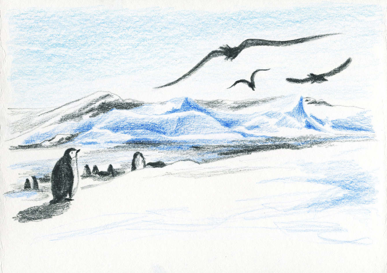 I Can (can't) Fly - Fifi Kuo Illustration