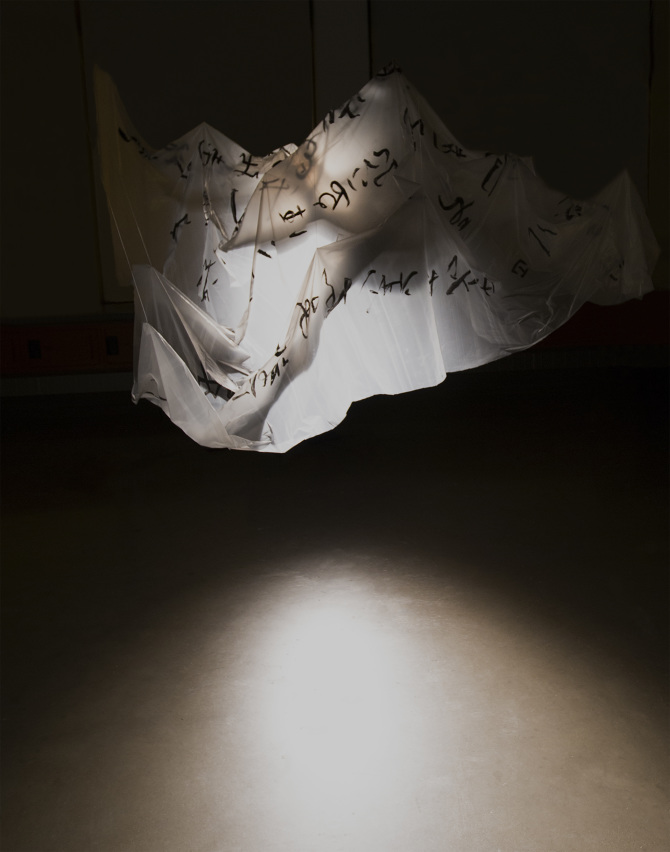 Undecipherable Text II | 无译之文 II - MAO WEI 毛蔚