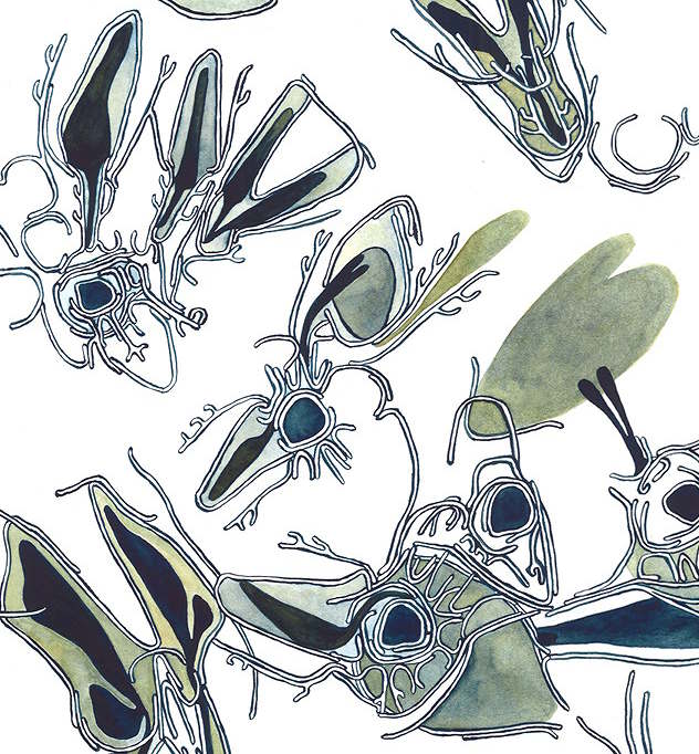 Tube period - Laura MacAulay