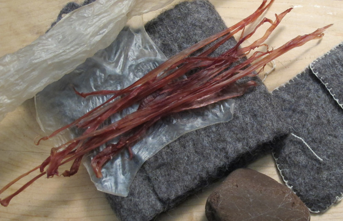 SINEW - Harvesting Bear Tendons - JILL HH LIPKA