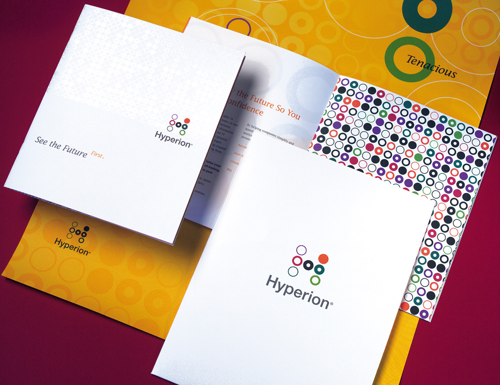 Hyperion Software Solutions - Robert Matza