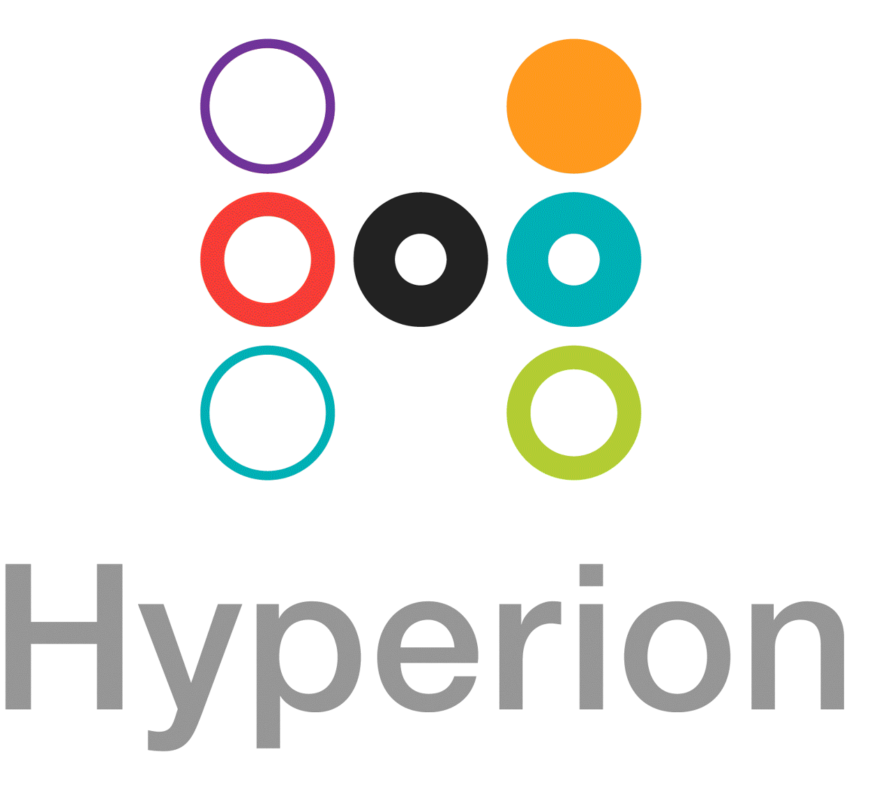 Hyperion Software Solutions - Robert Matza