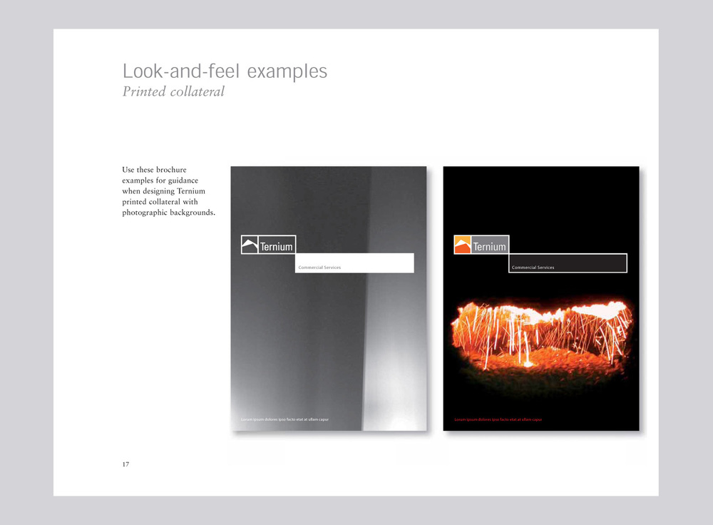 Ternium - Robert Matza