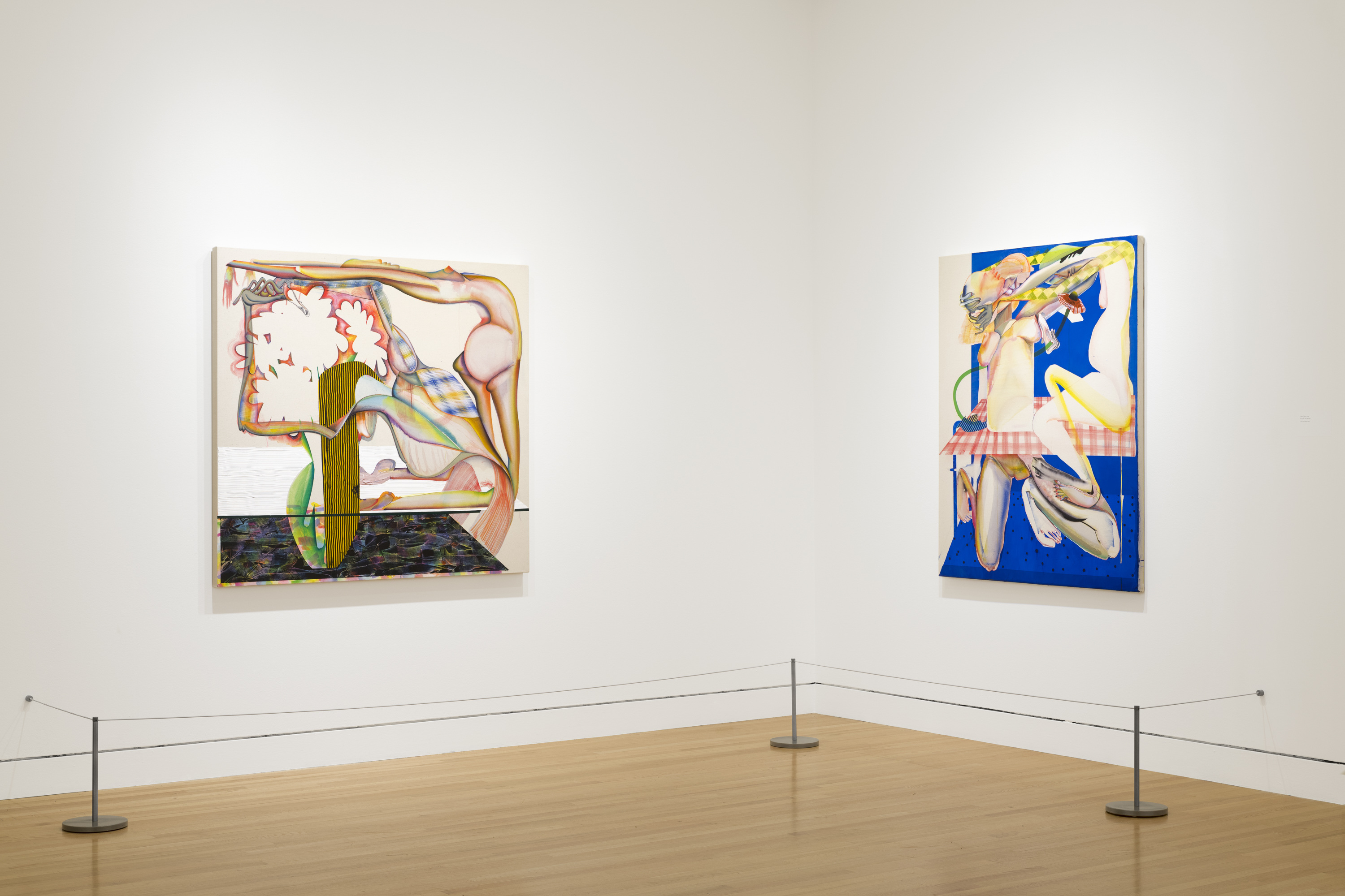 Christina Quarles @ Frye Art Museum - christina quarles