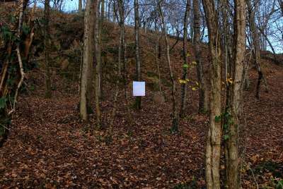 Cinéraire - Emmanuelle Rosso | Emmanuelle Rosso